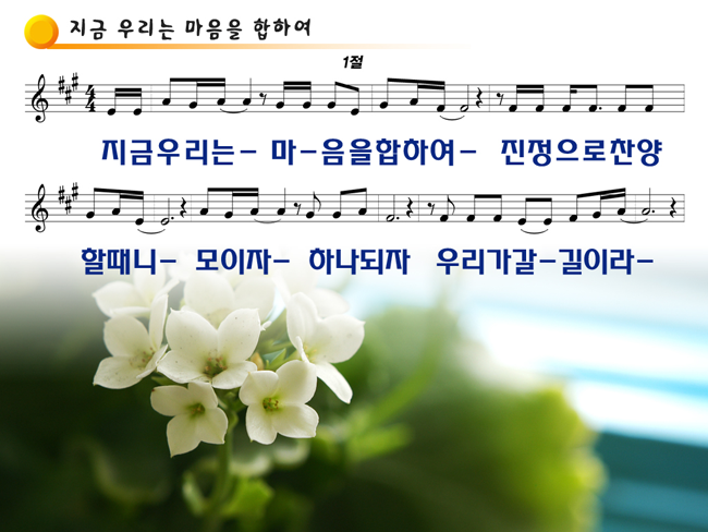 인포처치 이 세상의 기독교자료 다 모여랏